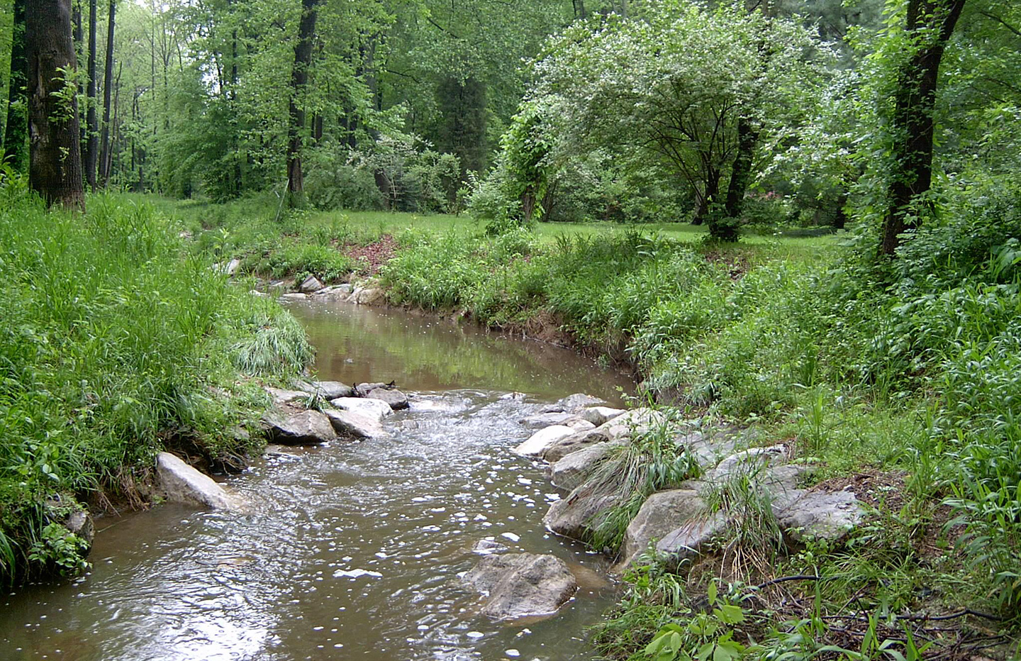 Protecting Our Waterways: Virginia’s Nutrient Credit Trading Explained