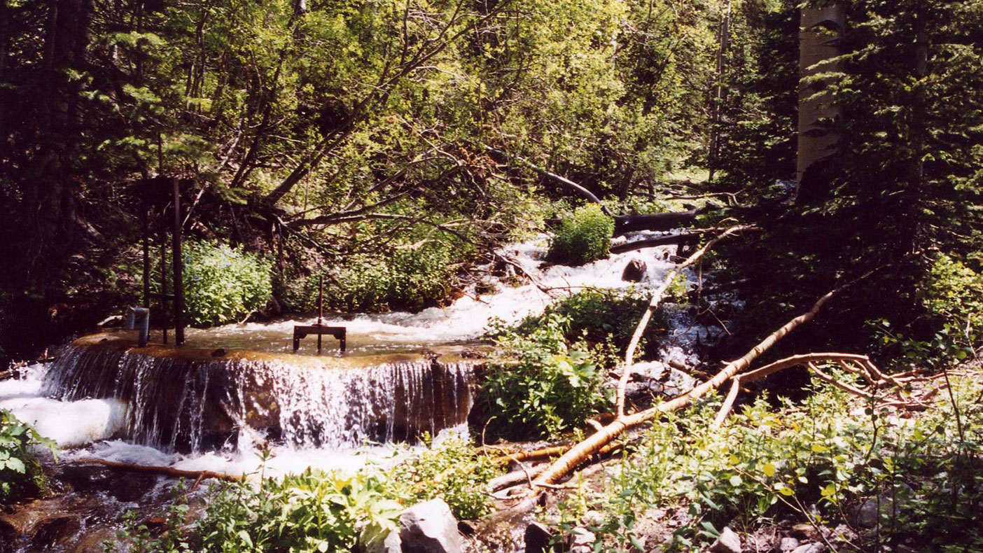 Instream Flow Decision Support System